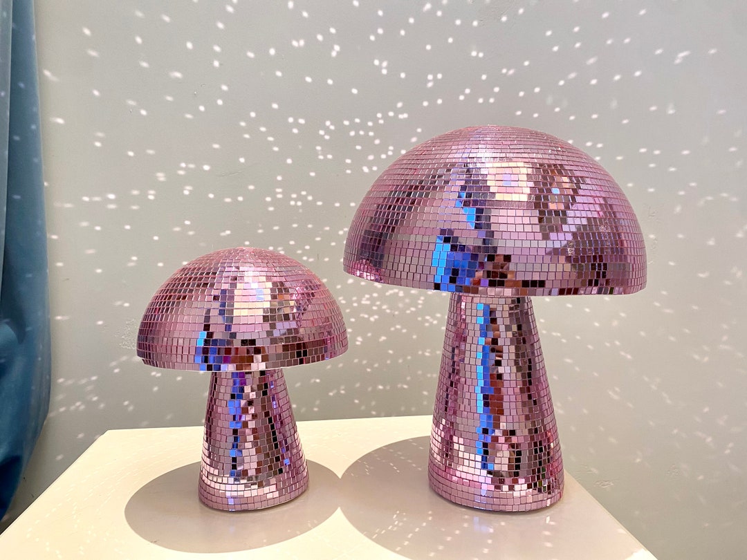 The Latest Launch of Barbie Powder Lenses Disco Magic - Etsy