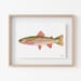 Rainbow Trout Print Fish Painting Wall Decor Fly Fishing - Etsy
