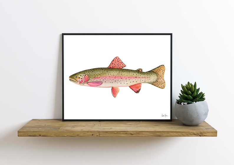 Rainbow Trout Print Fish Painting Wall Decor Fly Fishing - Etsy