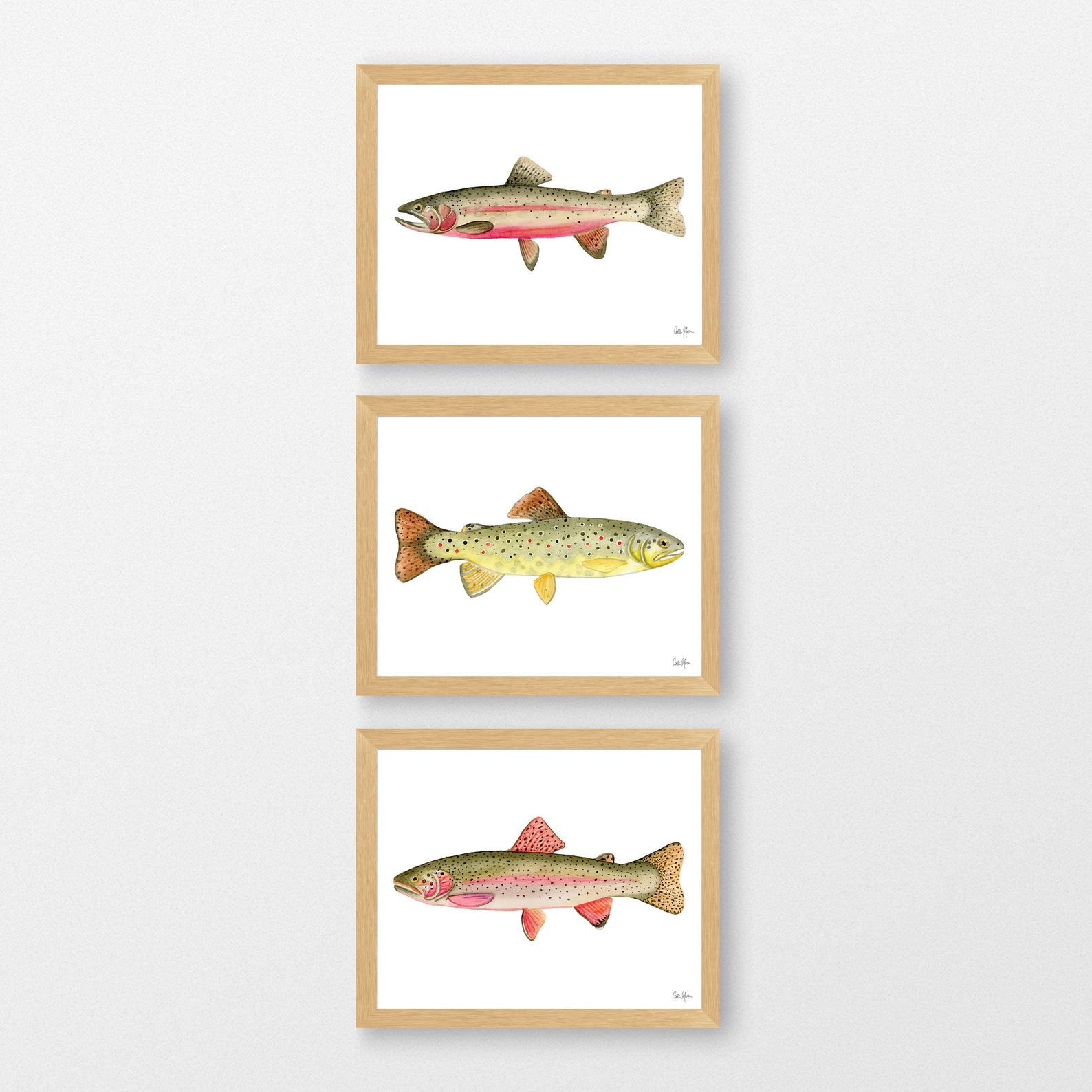 Rainbow Trout Print Fish Painting Wall Decor Fly Fishing - Etsy