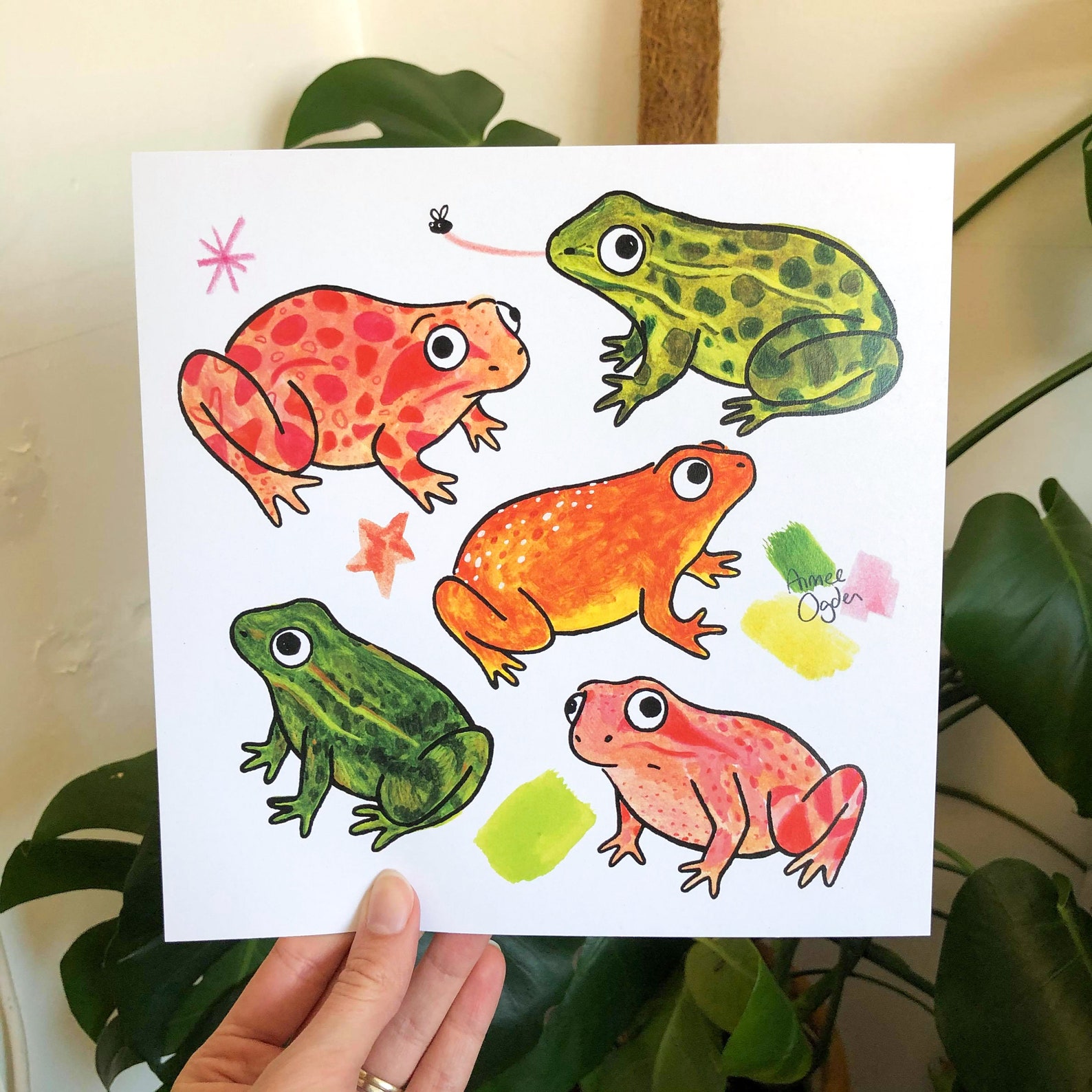 Frog Print, Frog Art Print, Colourful Art Print, Cute Frog Illustration ...