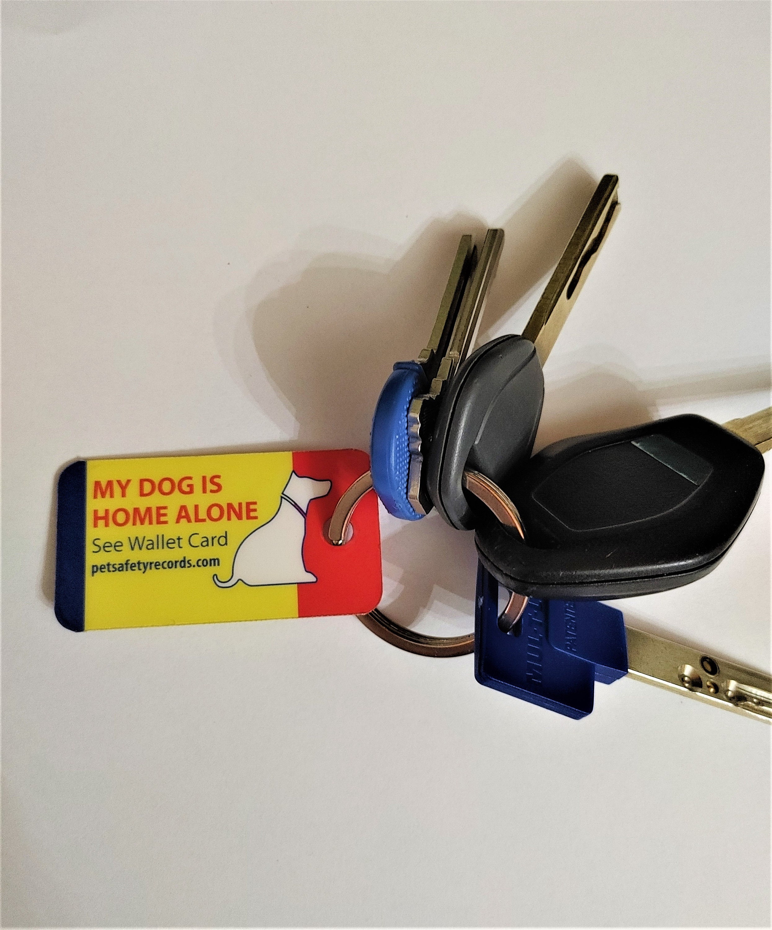 Emergency Wallet Card and Key Tags - Dog - Etsy