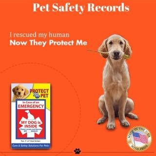 Cat Emergency Window Stickers - Etsy