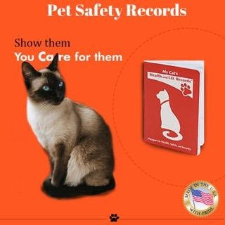 Cat Emergency Window Stickers - Etsy