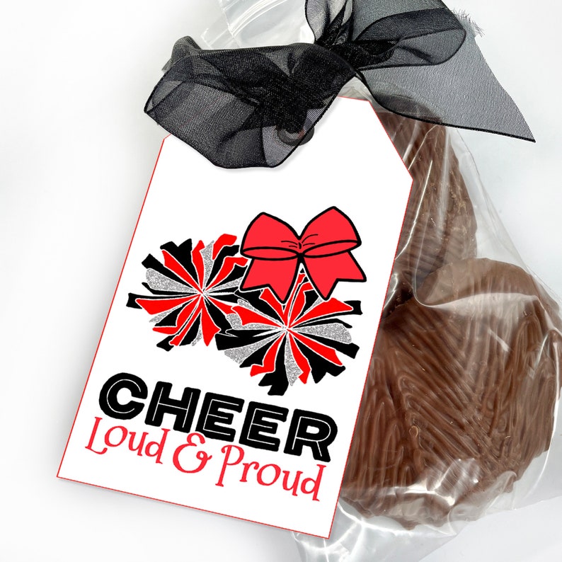 Cheer Good Luck Tags Cheerleading Team Treat Labels - Etsy