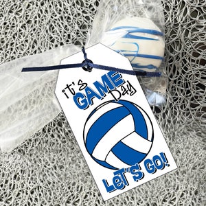 Volleyball Good Luck Tags, Volleyball Team Treat Labels, Printable Let ...