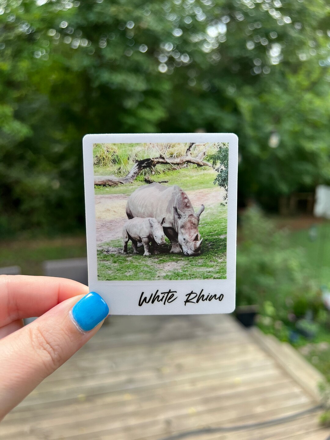 Rhino Sticker | Southern White Rhinos | Endangered Species | Safari ...
