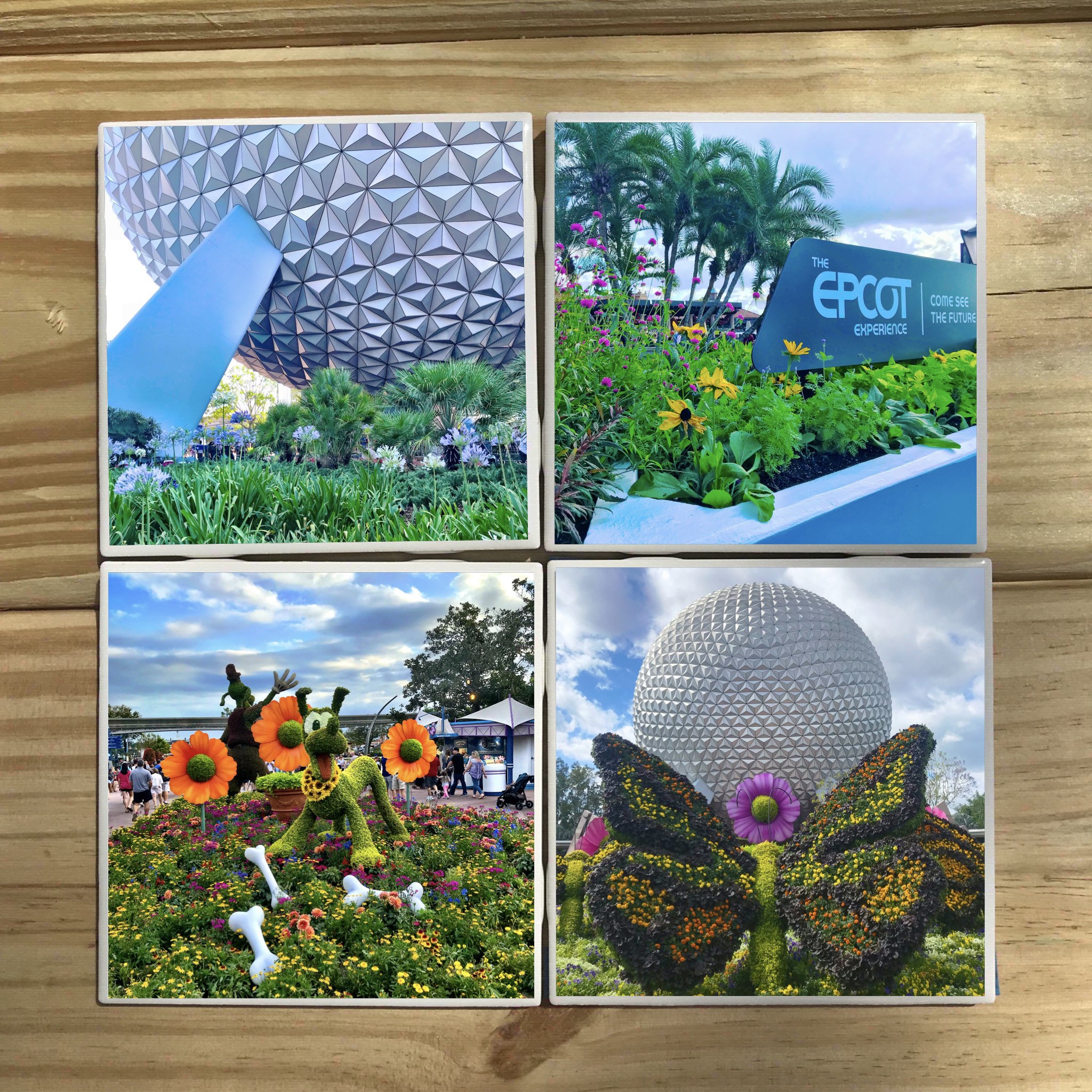 Disneys Epcot Coaster Set Mix and Match Photos | Etsy
