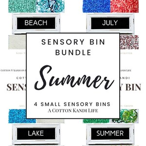 Sensory Bin | Seasonal Bundles | 4 KITS | Educational Activity, Stim ...