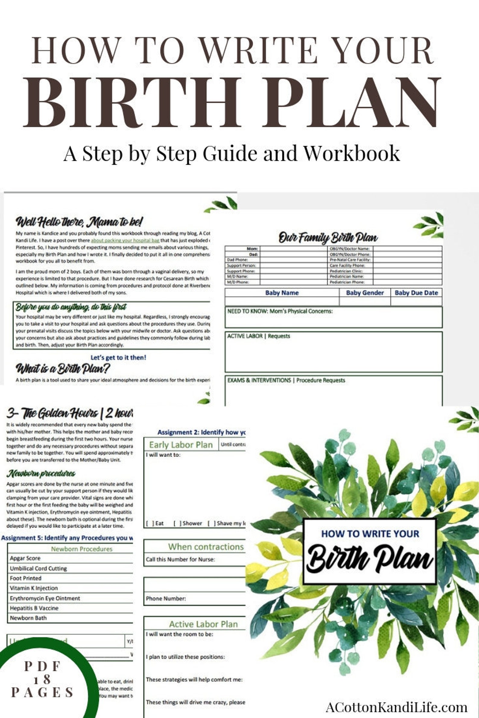 How to Write a Birth Plan Guide and Workbook Printable - Etsy Canada