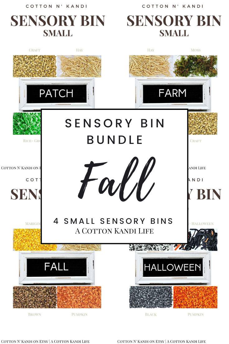 Sensory Bin | Seasonal Bundles | 4 KITS | Educational Activity, Stim ...