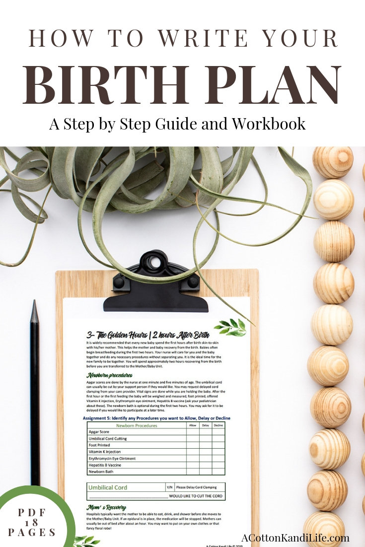 How to Write a Birth Plan Guide and Workbook Printable - Etsy Canada
