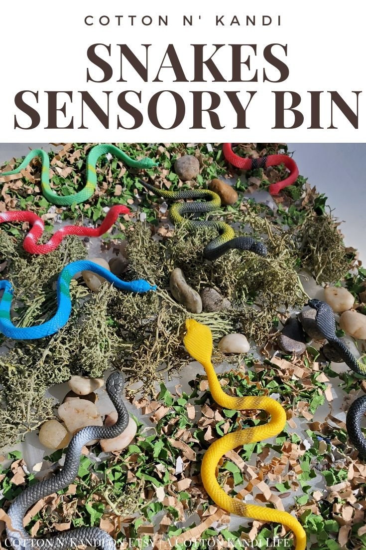 Mini Sensory Bin SNAKES Montessori Baby Toys Montessori | Etsy