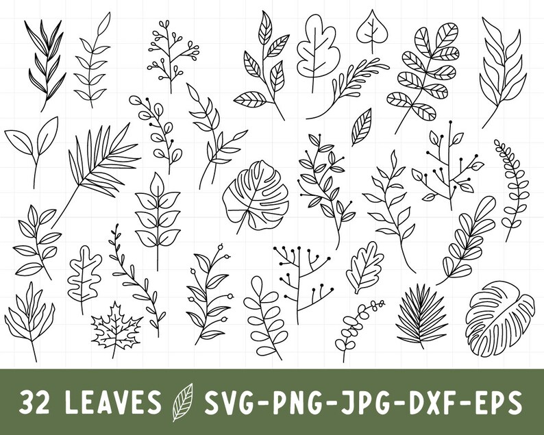 Hand Drawn Leaves SVG Bundle 32 Leaves Dividers SVG Leaf - Etsy