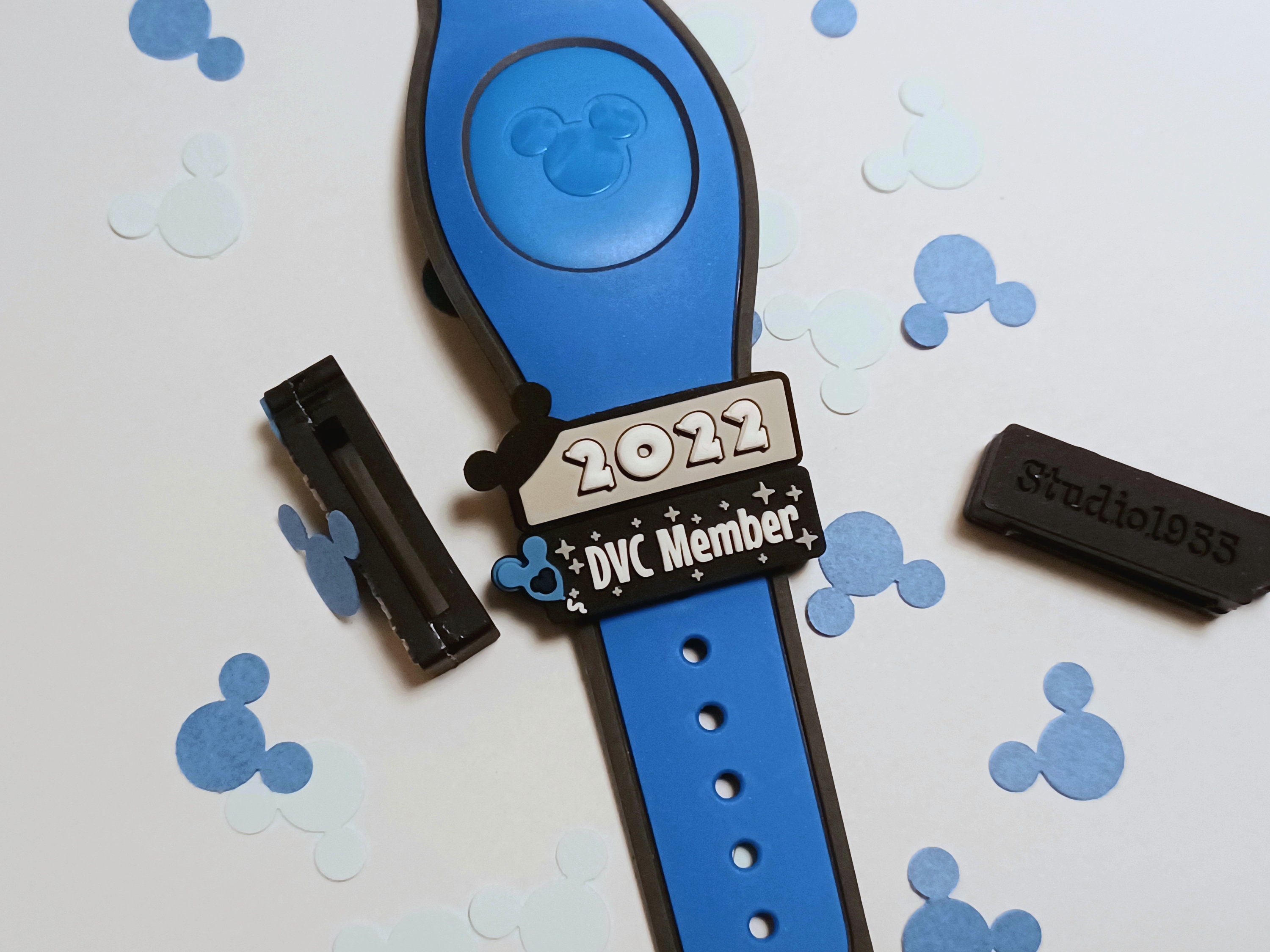 DVC Member Sliding PVC Charm/sleeve for Use With Magic Bands - Etsy