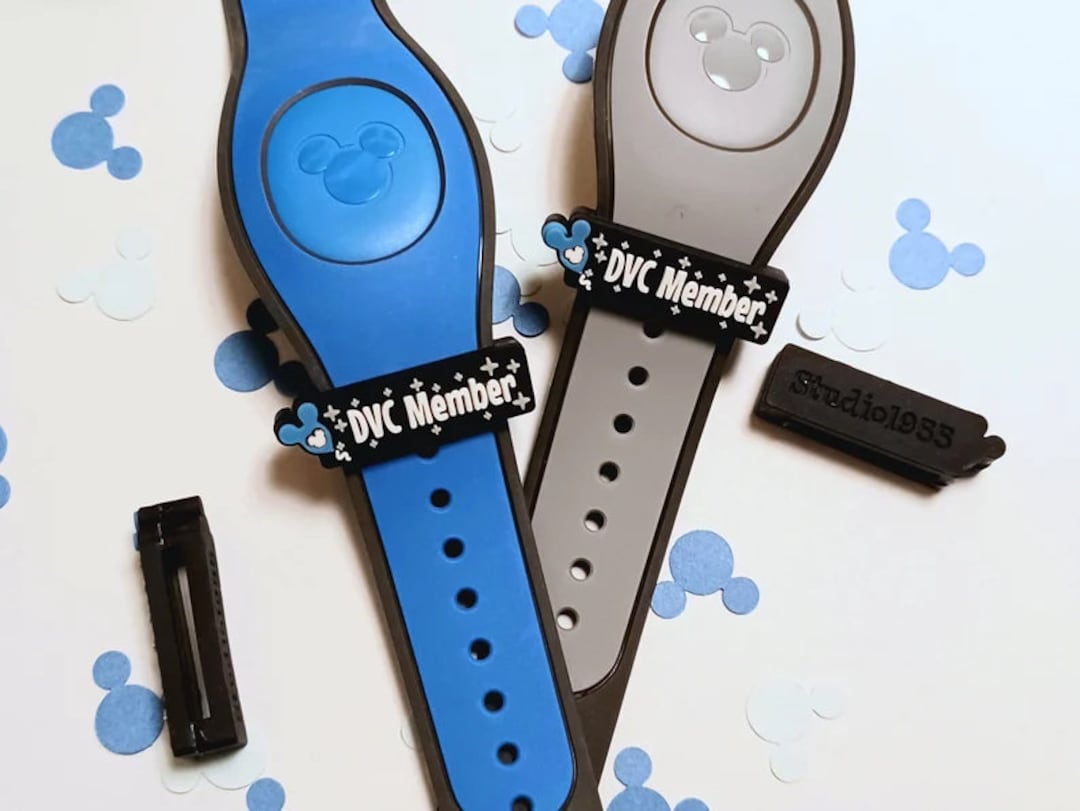 DVC Member Sliding PVC Charm/sleeve for Use With Magic Bands | WDW ...