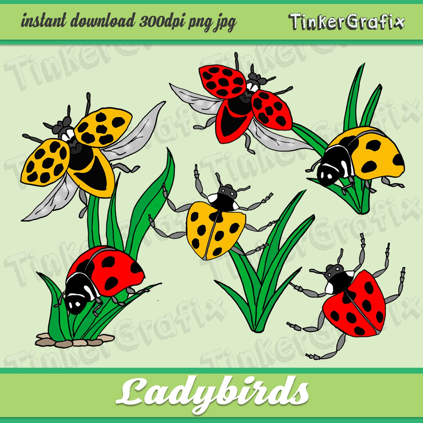 Hand Drawn Ladybird Clipart , Digital Clip Art, Printable, Commercial ...