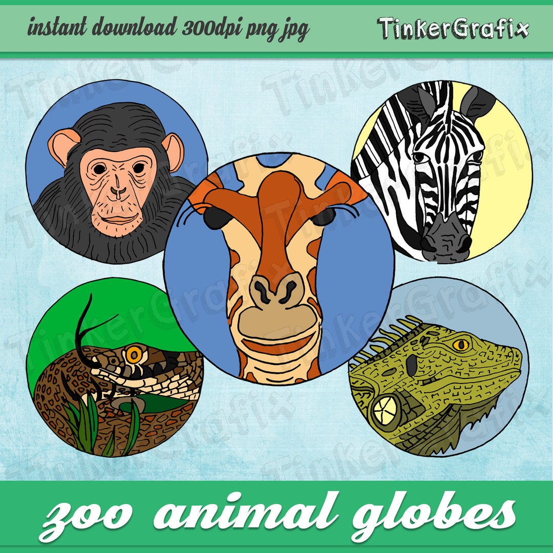 Hand Drawn Animals Clipart Globes, Zoo Animals, Monkey, Giraffe, Snake ...