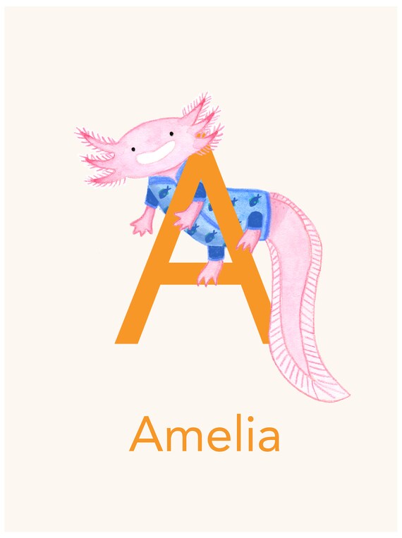 Personalised Animal Name Chart Nursery Bedroom Baby Gift - Etsy