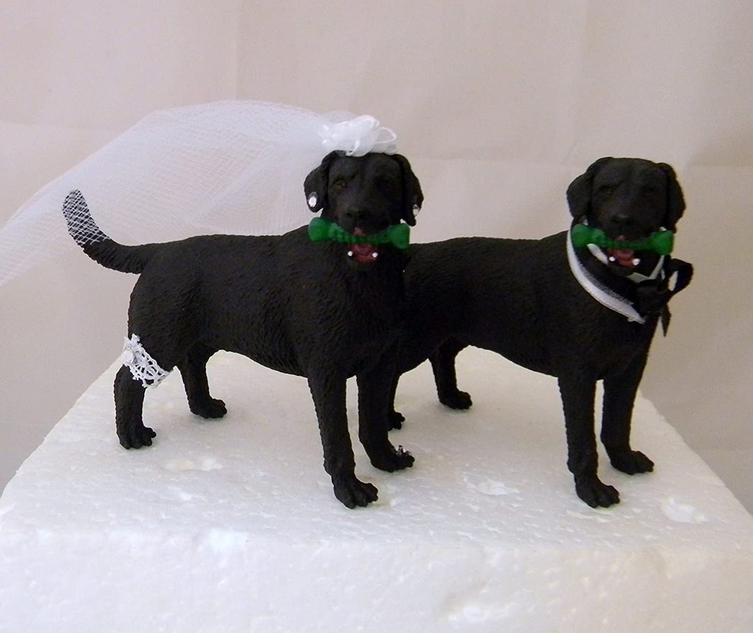 Wedding Reception Black Labrador Retrievers Dogs Bride Groom - Etsy
