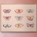 Vintage Butterfly Art Print, Cottagecore Poster, 18x24 Art Print Danish ...