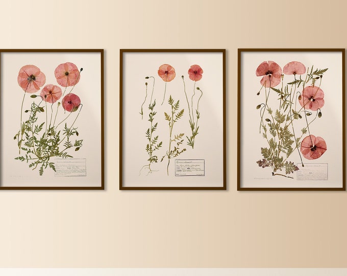 Pressed Flower Wall Art Set of 3, Pressed Poppy Print, Minimalist ...