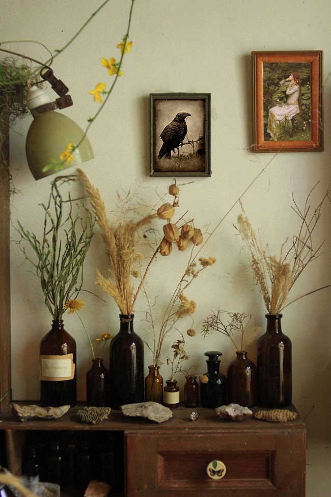 Gothic Raven Print Vintage Victorian Raven Art Halloween - Etsy