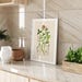 Clover Print, Vintage Botanical Wall Art, Wildflower Print, Flower Wall ...