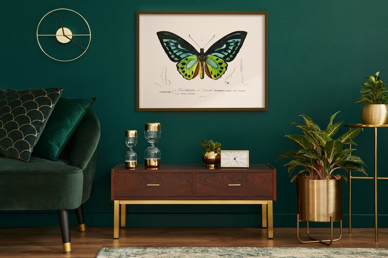 Green Butterfly Art Print Vintage Butterfly Poster - Etsy