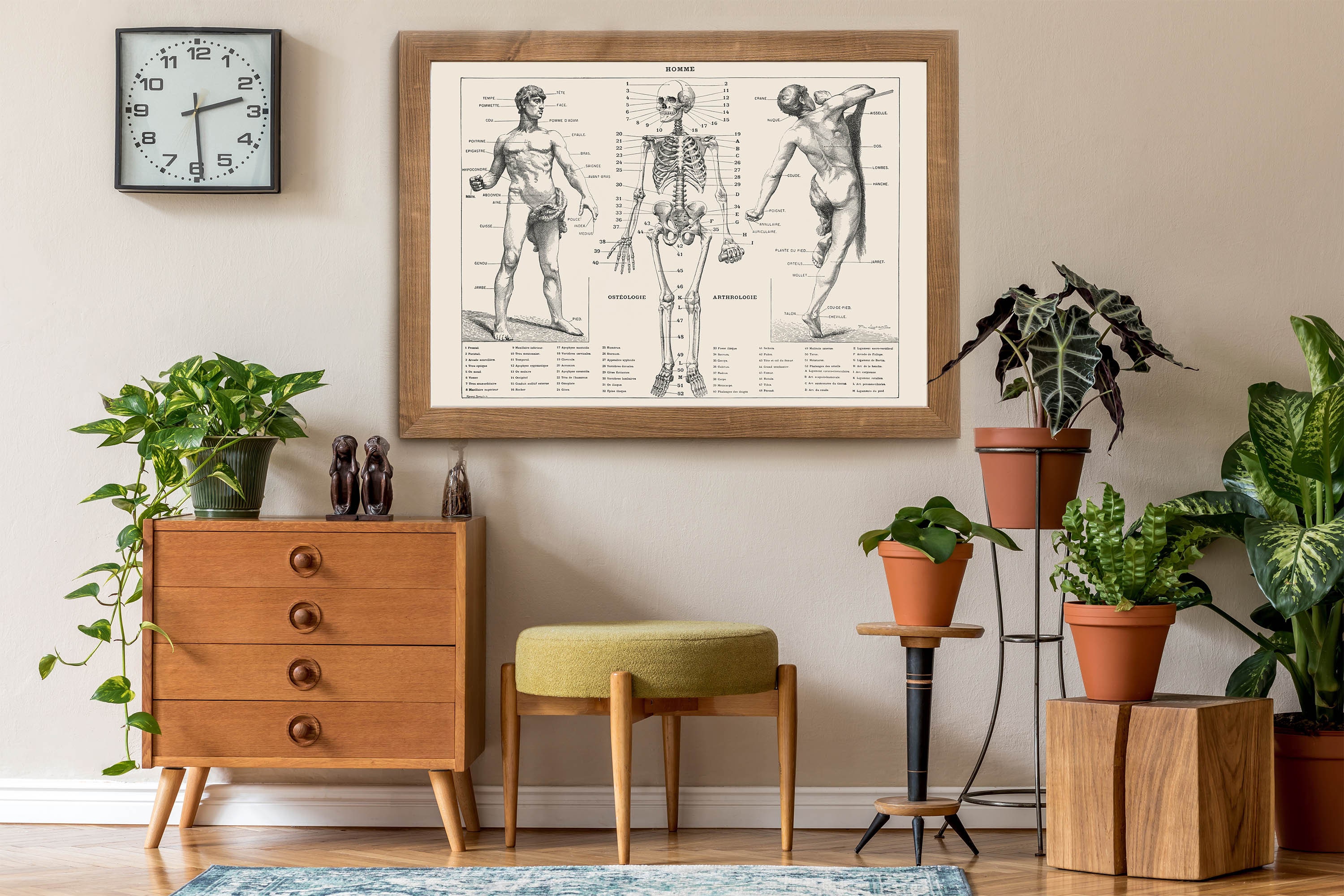 Anatomy Print, Antique Anatomy Art, Human Anatomy Poster, Skeleton Art ...