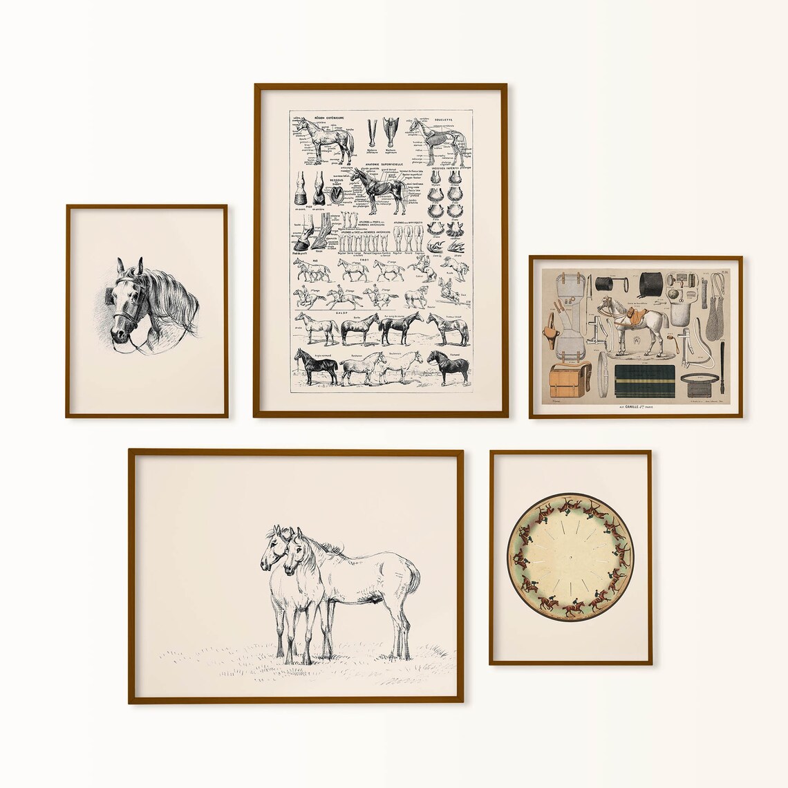 Equestrian Art Gallery Wall Horse Gallery Wall Set | Etsy