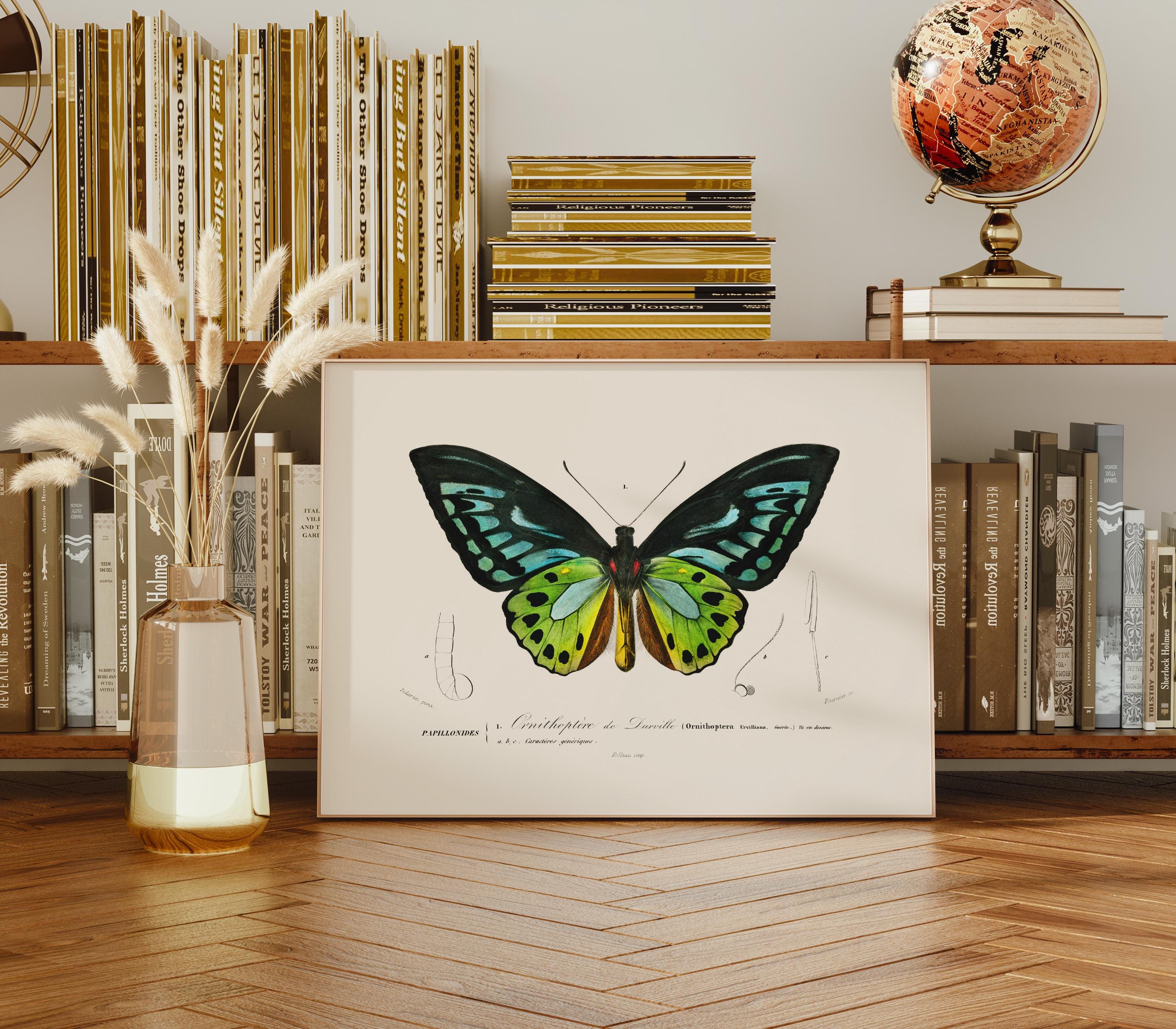 Green Butterfly Art Print, Vintage Butterfly Poster, Cottagecore Print ...