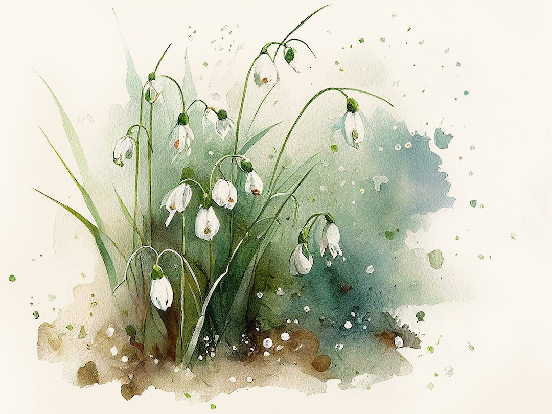 Snowdrops Flower Wall Art, Watercolor Painting, Snowdrop Flower Print ...