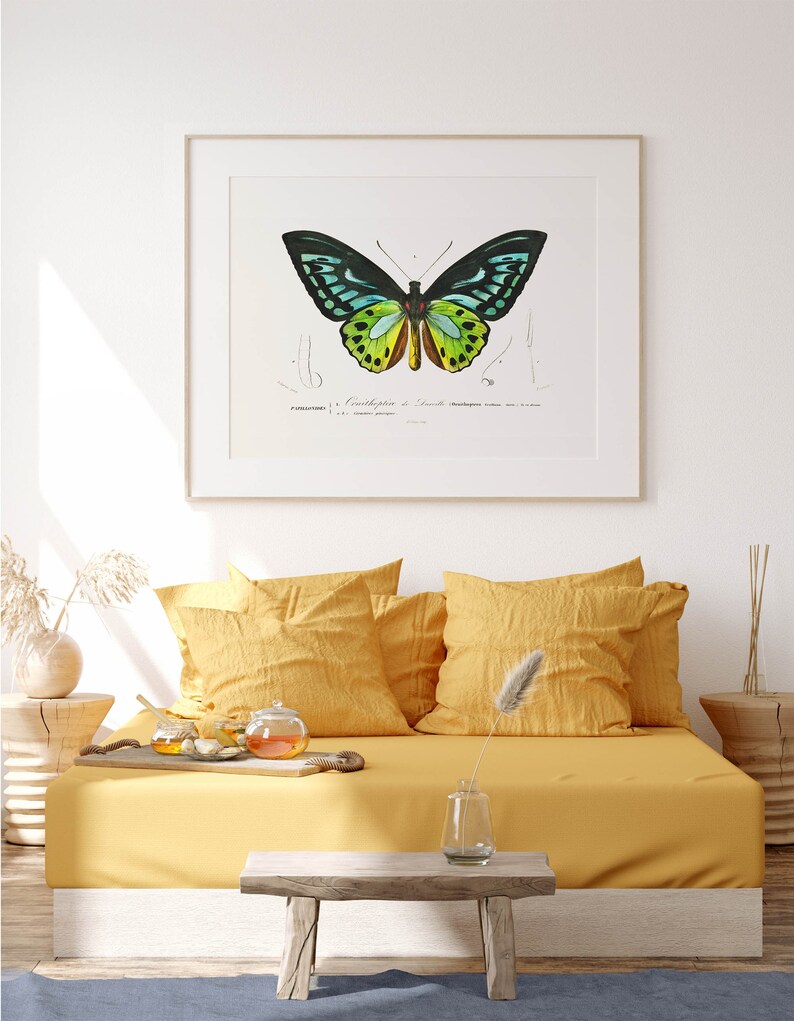 Green Butterfly Art Print Vintage Butterfly Poster - Etsy