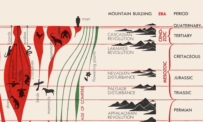 Geology Print, Geological Time Print, History of Life Chart, Geology ...