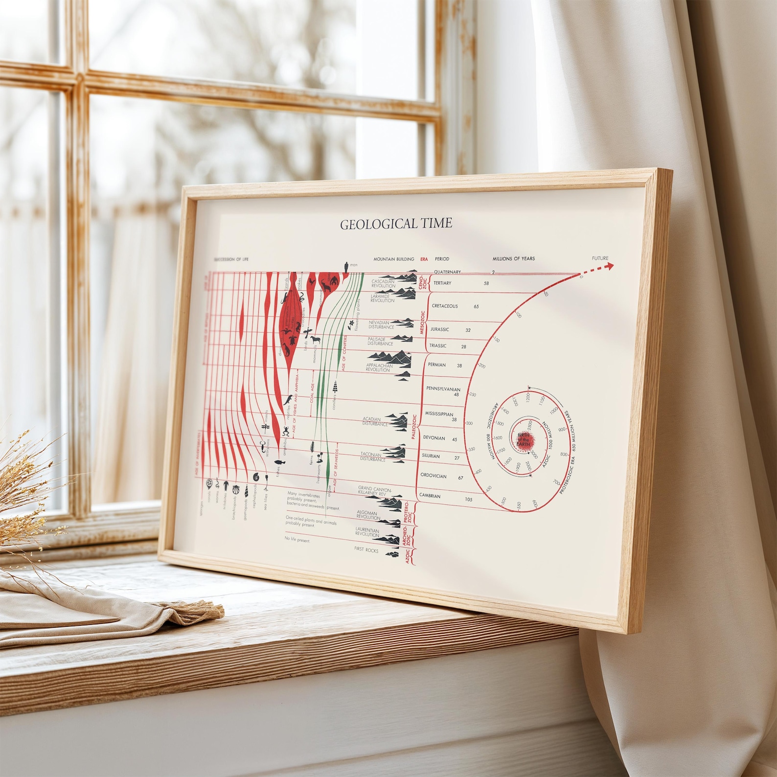 Geology Print, Geological Time Print, History of Life Chart, Geology ...