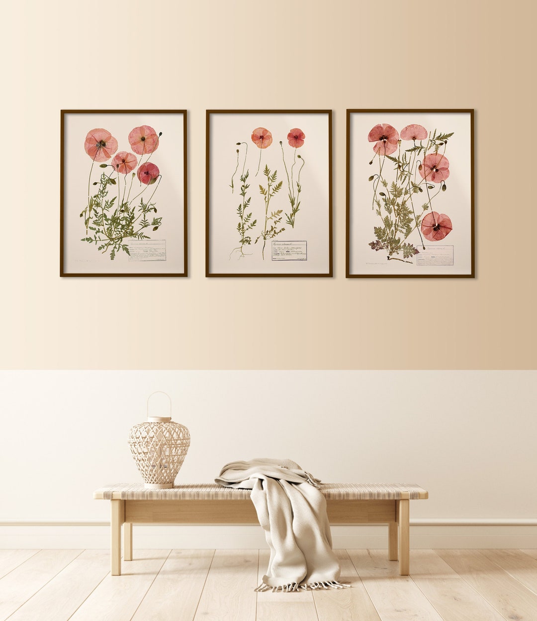 Pressed Flower Wall Art Set of 3, Pressed Poppy Print, Minimalist ...