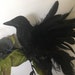 Handcrafted~raven Headband~fascinator~headpiece~gothic, Steampunk ...