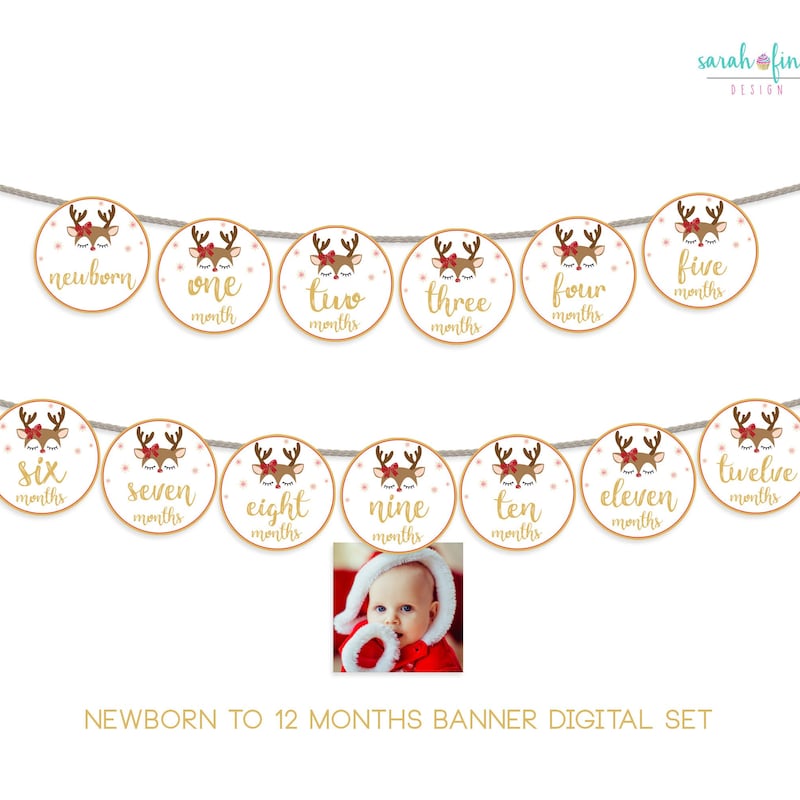 12 Month Banner - Etsy