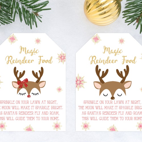 Magic Reindeer Food Tags Printable Kids Christmas Tag DIY - Etsy