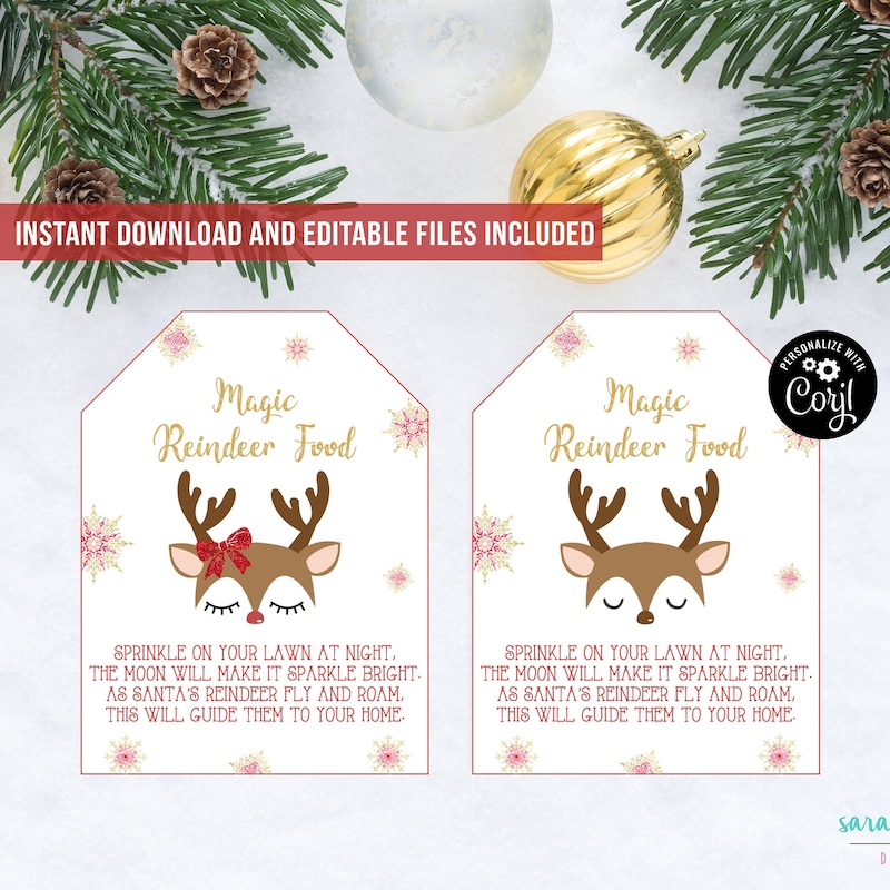 Reindeer Food Tag - Etsy