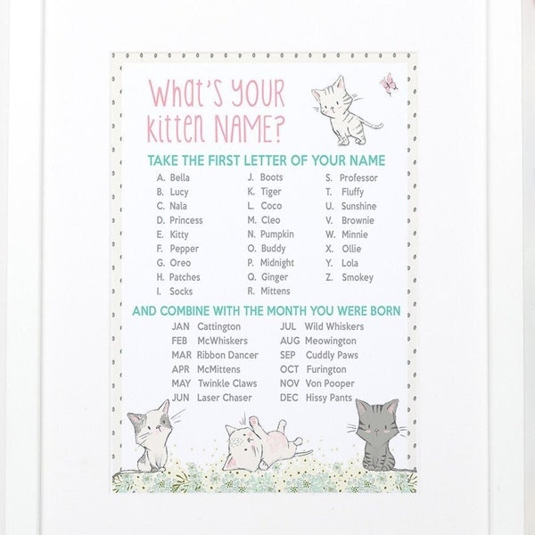Kitty Birthday Party - Etsy