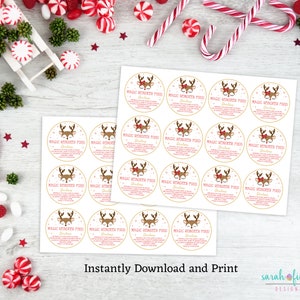 Magic Reindeer Food Tags Printable Birthday Party Game Kids Christmas ...