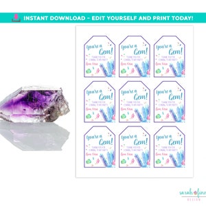Gemstone Favor Tags Editable Gem Thank You Tags Geology Rocks Birthday ...