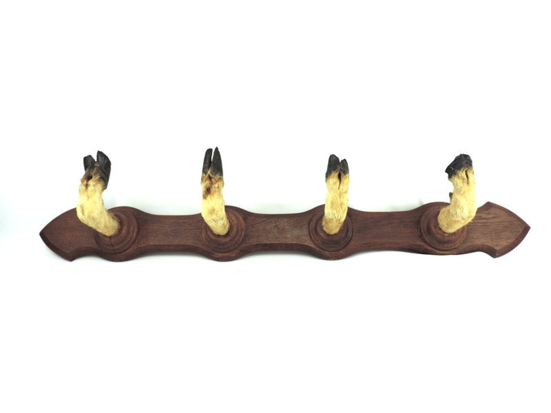 French Vintage XL Rifle Rack With Deer Hooves, 35" Long Wall Mounted ...