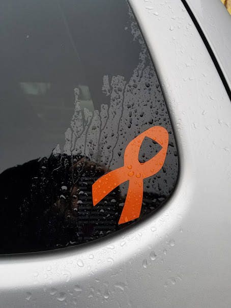 CRPS RSD Awareness Ribbon Vinyl Decal Car Window Bumper Sticker - Etsy