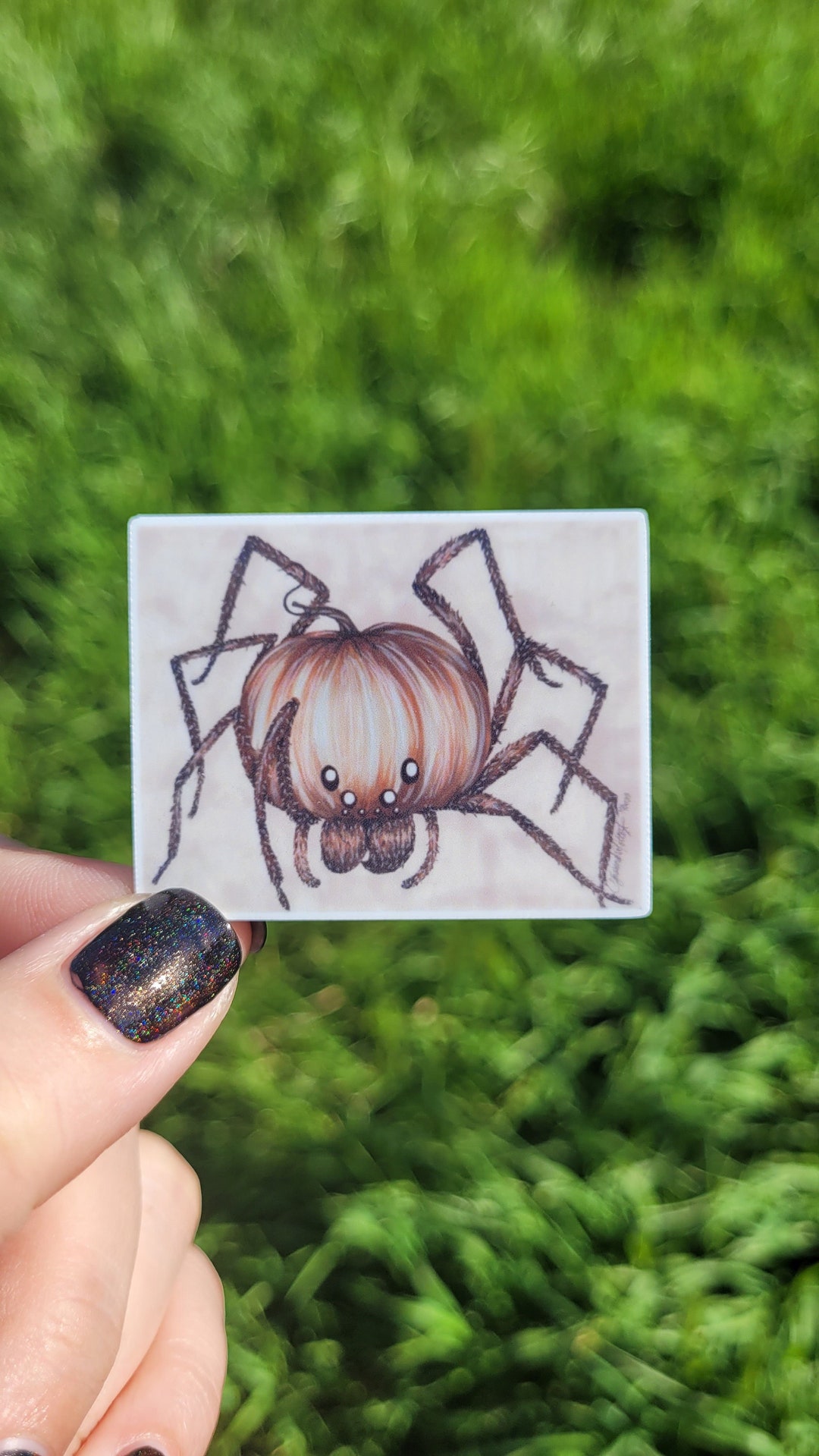 Pumpkin Spider Vinyl Sticker of Alcohol Marker Art - Etsy