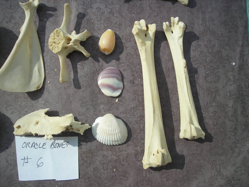 Scrying/Oracle Bones 6 | Etsy