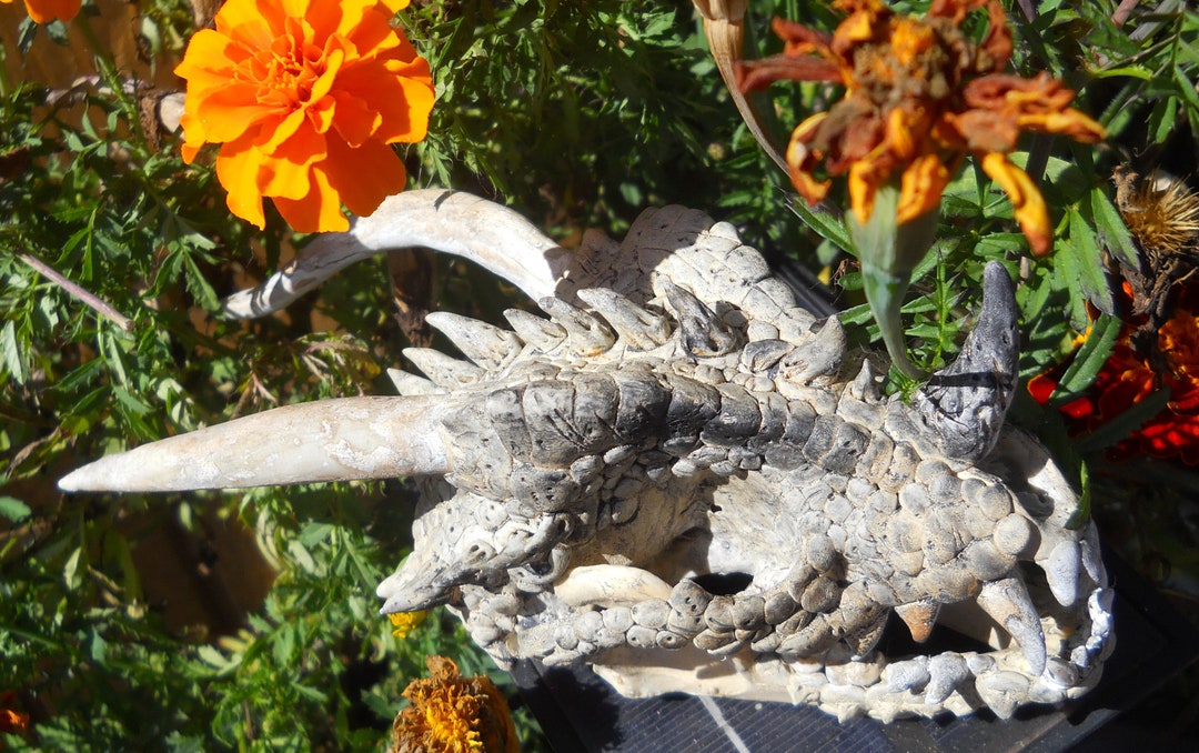 Gremlin/dragon Skull Sculpture: 4 - Etsy