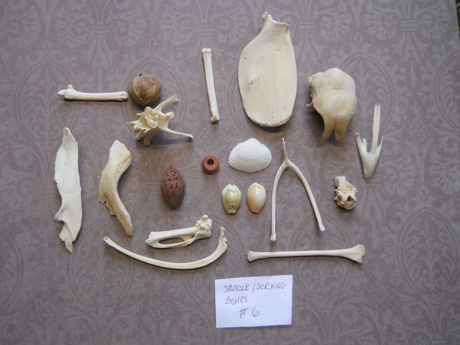 Scrying/oracle Bones 6 - Etsy
